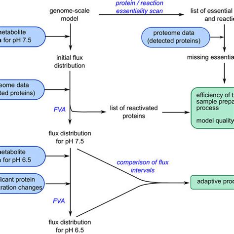 Schematic Overview Of Our Data Integration Approach Experimental Parts