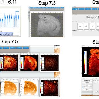 Workflow For Image Processing Workflow Complementary To Sections 6 And Download Scientific