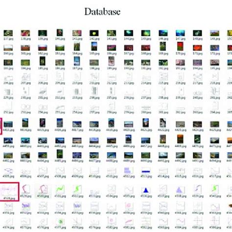 examples of photograph retrieval the red rectangles are the query