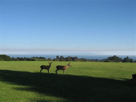 NLP University And Their Master Practitioner Programme NLP Babe