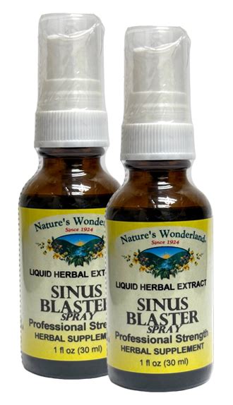 Sinus Blaster Spray 1 Fl Oz 30 Ml Each Natures Wonderland Penn