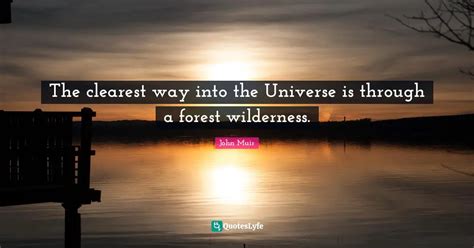 The Clearest Way Into The Universe Is Through A Forest Wilderness