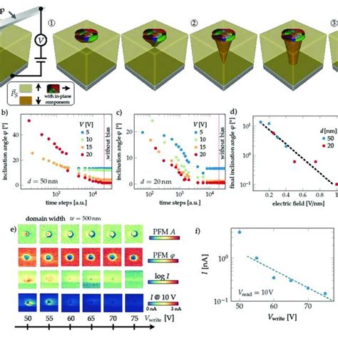 A Three Dimensional Phase Field Simulation Of Cdw Formation Under An Download Scientific