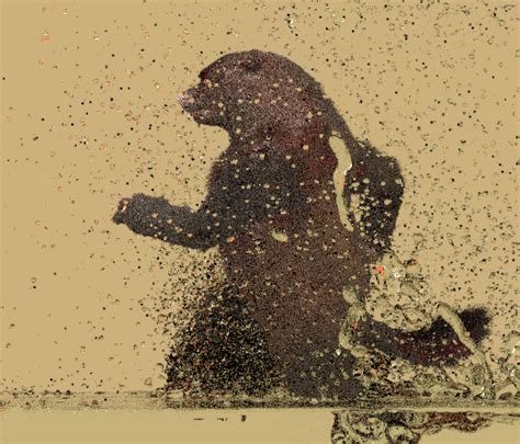 Fluid Particles Particles And Physics Simulations Blender Artists Community