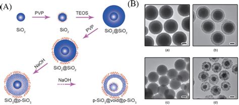 A Illustration Of The Synthesis Of P SiO Void P SiO YSNs By The