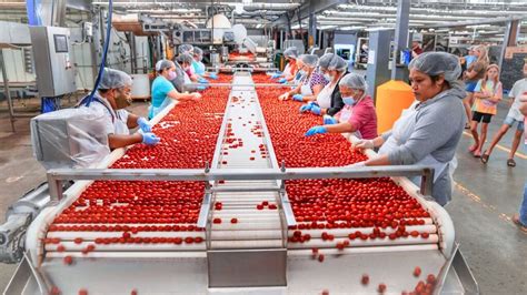 10 Ways To Improve Manufacturing Efficiency Robodk Blog