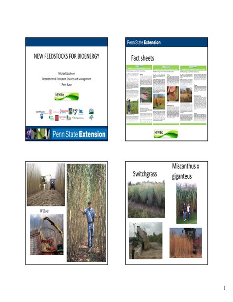 Fact Sheets Switchgrass Miscanthus X Giganteus Docslib