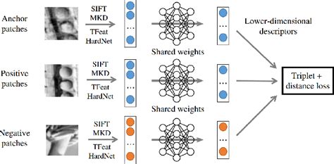 learning based dimensionality reduction for computing compact and