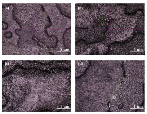 Effect Of Sebs Molecular Structure And Formula Composition On The