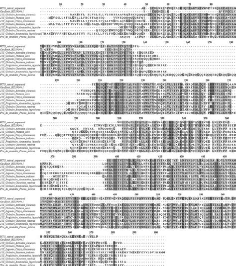 Sequence Alignment Of The Obtained Internal Sequence With Genbank