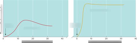 Primary Immune Response Diagram Quizlet Primary Immune Response Diagram Quizlet