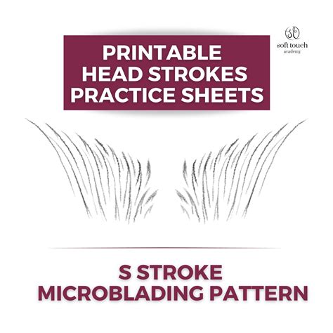 Microblading Stroke Pattern Template Microblading Head Stroke Patterns Step By Step Phibrows