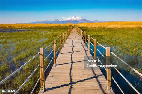 산 앞의 습지와 갈대위에 있는 나무 다리 산책로 카이세리 터키의 술탄 사즐리기와 에르시예스 산에서 온 것입니다 목가적 인 아름다운 풍경 배경입니다 갈대속 벼과에 대한 스톡