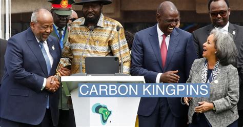 Can Carbon Offsets Fix Africas Climate Finance Crisis Semafor