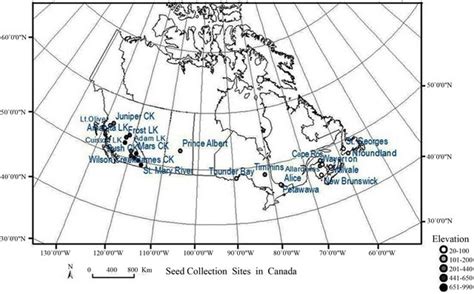 Leaf Morphological Variation Among Paper Birch Betula Papyrifera Marsh