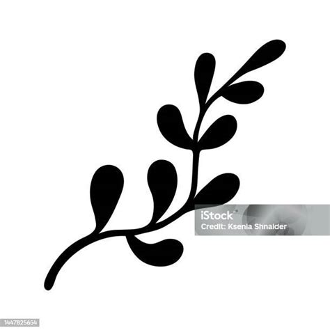 분기 벡터 아이콘입니다 나뭇잎과 나뭇 가지의 검은 실루엣입니다 흰색으로 분리된 손으로 그린 그림 관목 장식 조류 또는 포도 나무 야생 숲 식물 나무 막대기 카드 화장품
