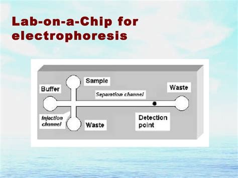 Sk Microfluidics And Lab On A Chip Ch5 Ppt Chemistry Science