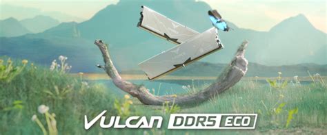 메모리 모듈 메모리 카드 Usb 플래시 드라이브 Usb Flash Drive Ssd 액션 주변기기 Teamgroup팀그룹