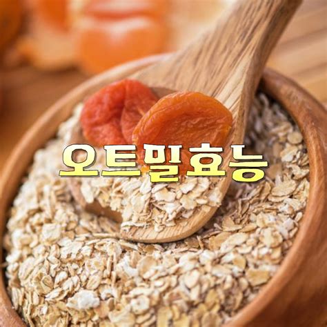 오트밀 효능 영양성분 고르는 법 부작용