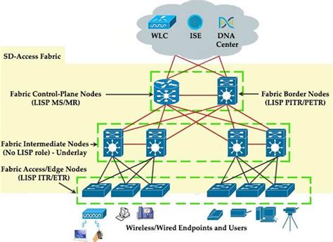 What Are Two Device Roles In Cisco Sd Access Fabric Choose Two Exam4training