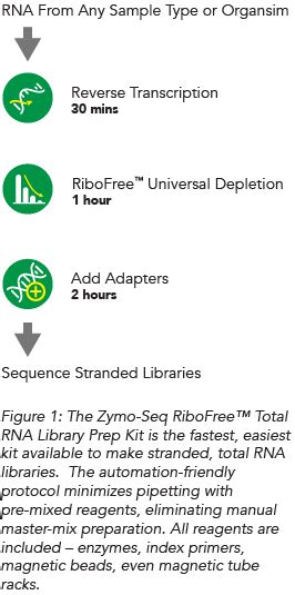 New Zymo Seq Ribofree™ Total Rna Library Prep Kit Rna Seq Blog