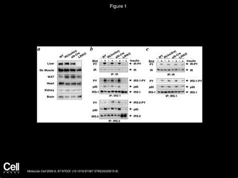 Volume Issue Pages July Ppt Download