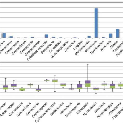 A Cyanobacteria Genera Identification Presence And B Genera