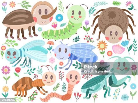 다양한 아기 곤충 꽃 나뭇잎이 있는 가지가 있는 대형 세트입니다 벡터 평면 그림 개미에 대한 스톡 벡터 아트 및 기타 이미지 개미 개체 그룹 거미 Istock