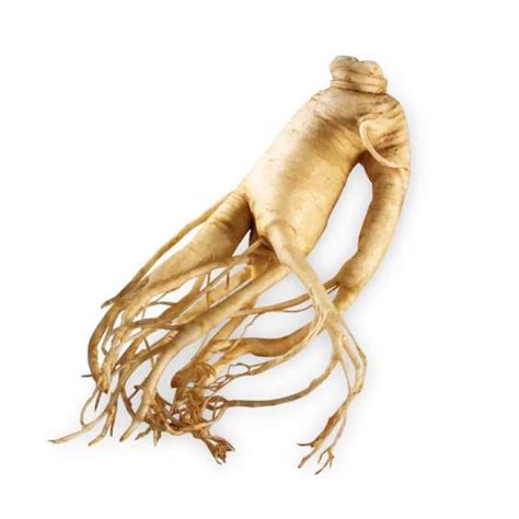 الجينسنغ لمحاربة الهالات السوداء والتجاعيد مجلة سيدتي