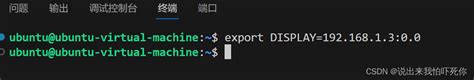 vscode 远程gui显示 x11forward配置 vscode x11 csdn博客