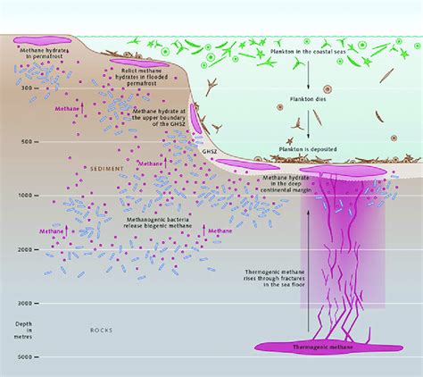 4 Geological Setting Of Methane Hydrate Formation This Figure Is