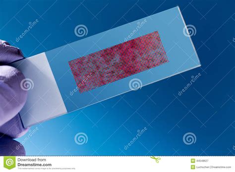 Biochip Stock Image Image Of Medical Futuristic Hand