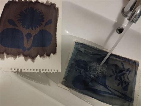 Cyanotype Photography A Comprehensive Guide