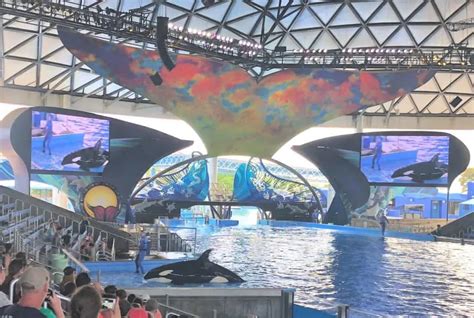 5 Reasons To Check Out Seaworld We Got The Funk