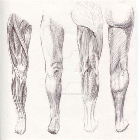 Leg By Alexsalexalex On Deviantart