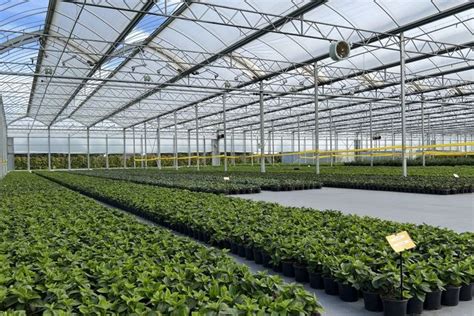 How Mastronardi Produce Became Pioneers Of High Tech Vegetable Growing