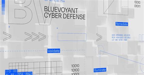 Proactive Defense Bluevoyant Blog