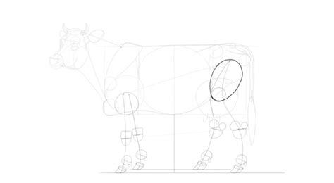 How To Draw A Cow
