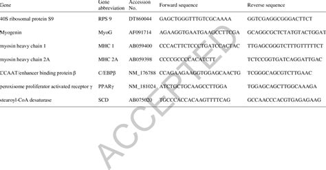 Primers For Genes Analyzed By Real Time Quantitative Polymerase Chain Download Scientific