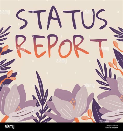 Conceptual Display Status Report Business Approach Update Summary Of