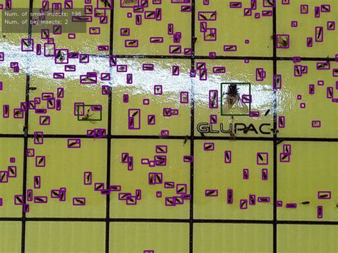 Insect Counting With Deep Learning Devpost