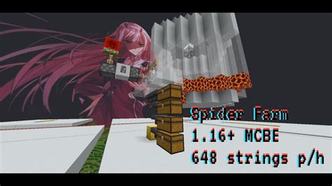 Minecraft Bedrock Spider Farm 1 16 648 Strings P H YouTube