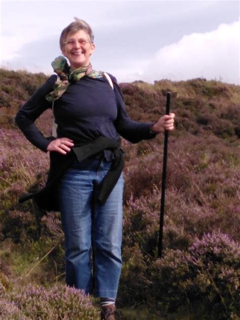 Gwnw 051 Moel Fenlli Activation Reports Sota Reflector