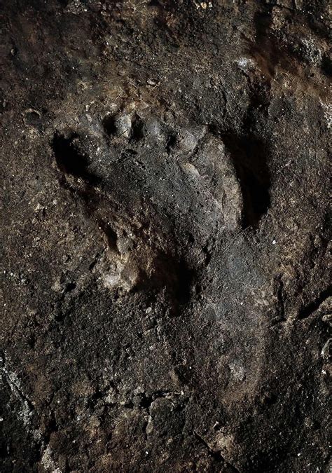 A Neanderthal Footprint Preserved In The Sediments Of The Grotte Di Toirano Liguria Italy The