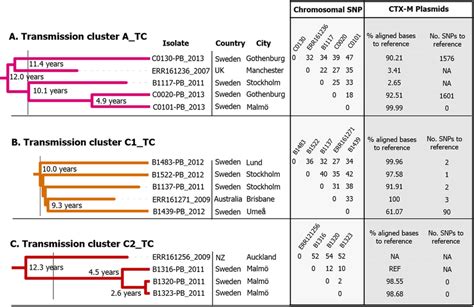 Chromosomal And Plasmid Differences In Identified Swedish Transmission