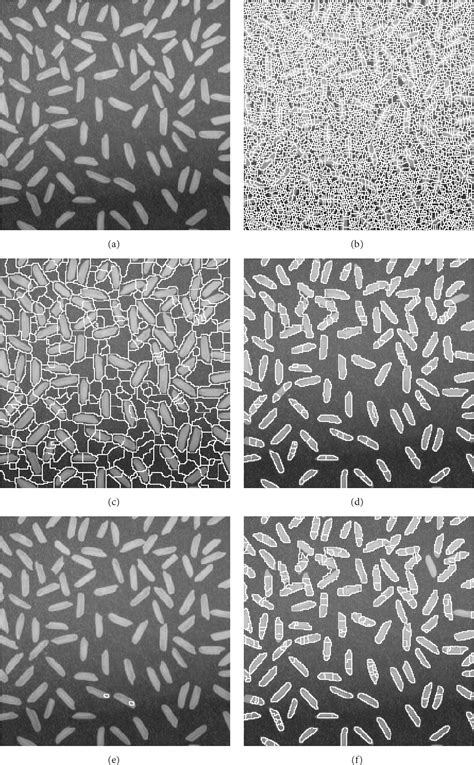 figure 1 from a novel model of image segmentation based on watershed algorithm semantic scholar