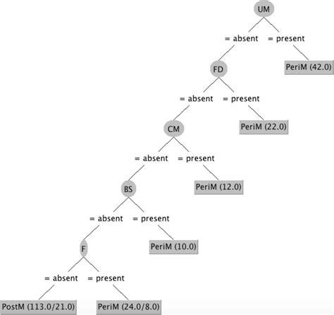 Decision Tree Using The J48 Classifier Algorithm Perim Perimortem