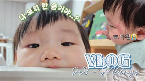 4k Vlog 한시도 방심할 수 없는 8개월 아기 토핑 이유식 세끼 아이허브 쇼핑템 육아브이로그 8개월아기 9