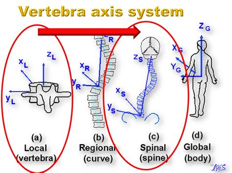3d By Coupled Movements