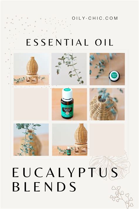 Refreshing Eucalyptus Diffuser Blends
